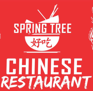Spring Tree Chinese Restaurant Menu & Delivery in Ikorodu - Order ...